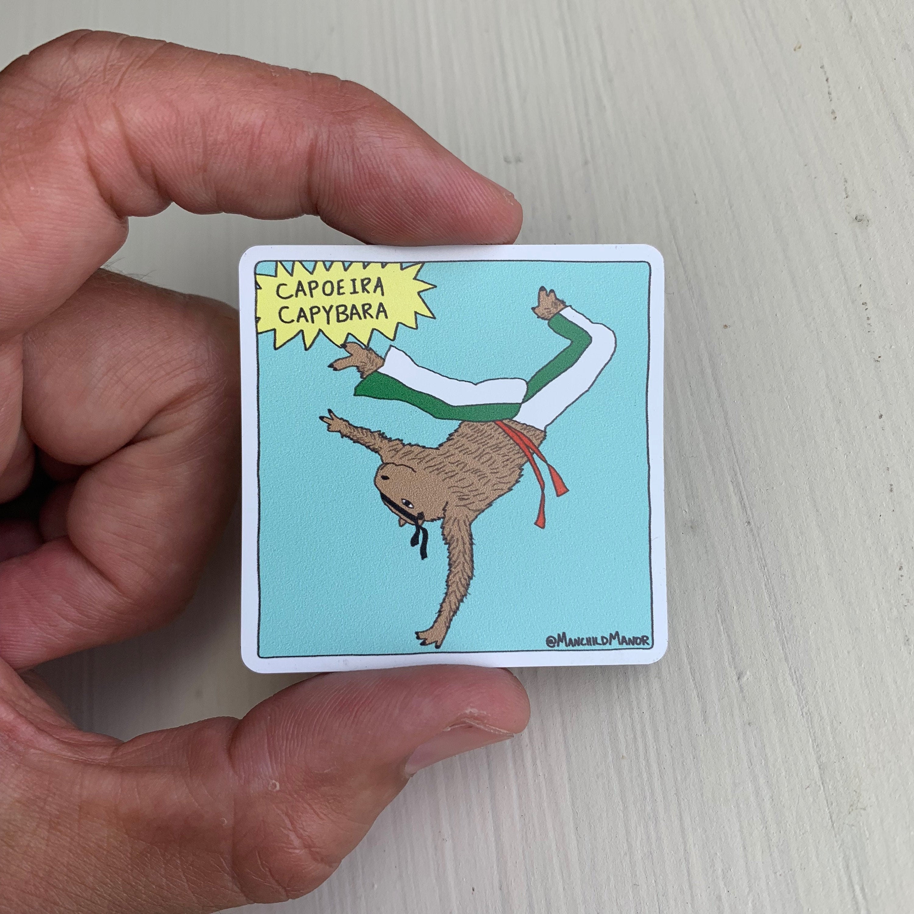 Capoeira Capybara Magnet - Etsy