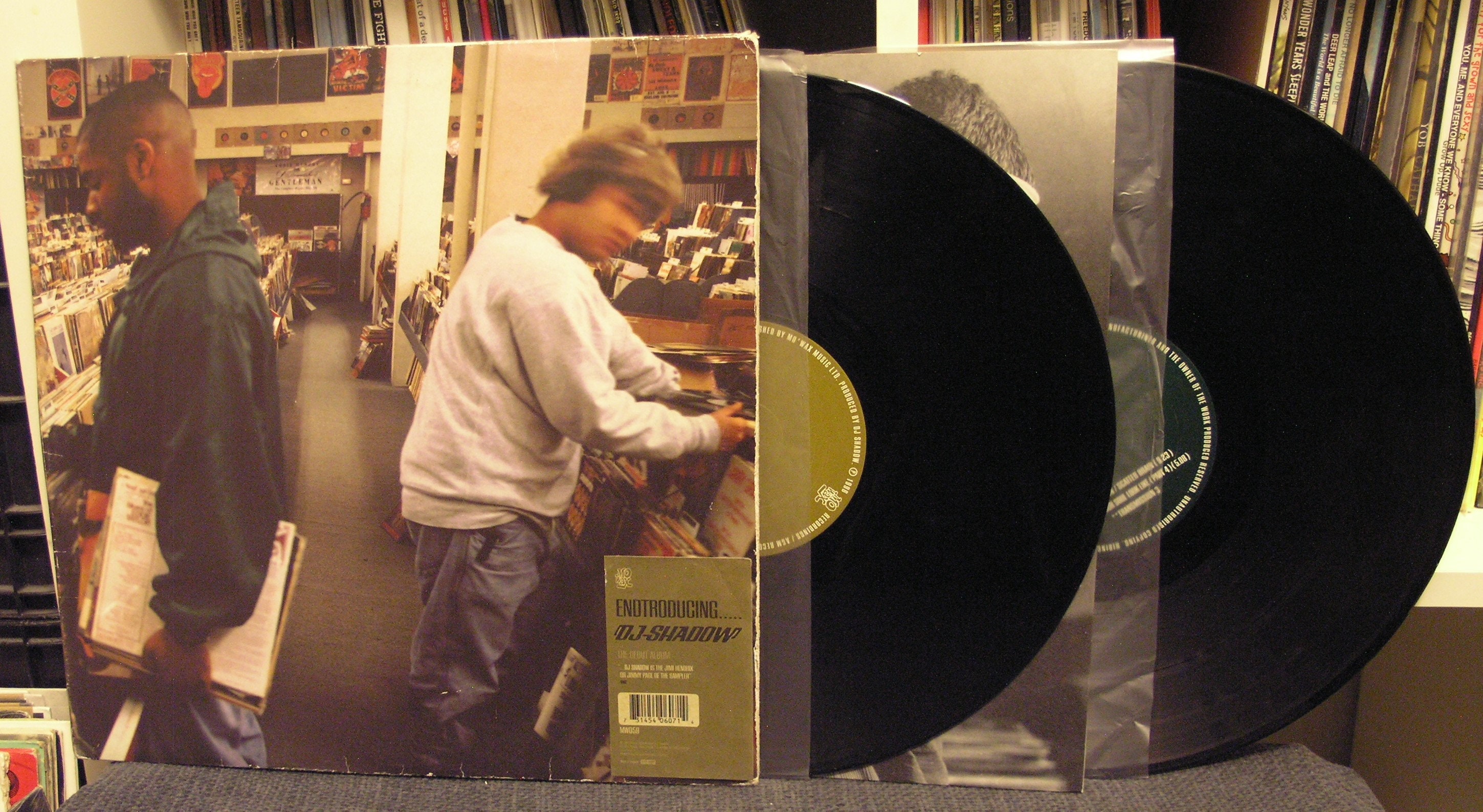 Endtroducing Vinyl