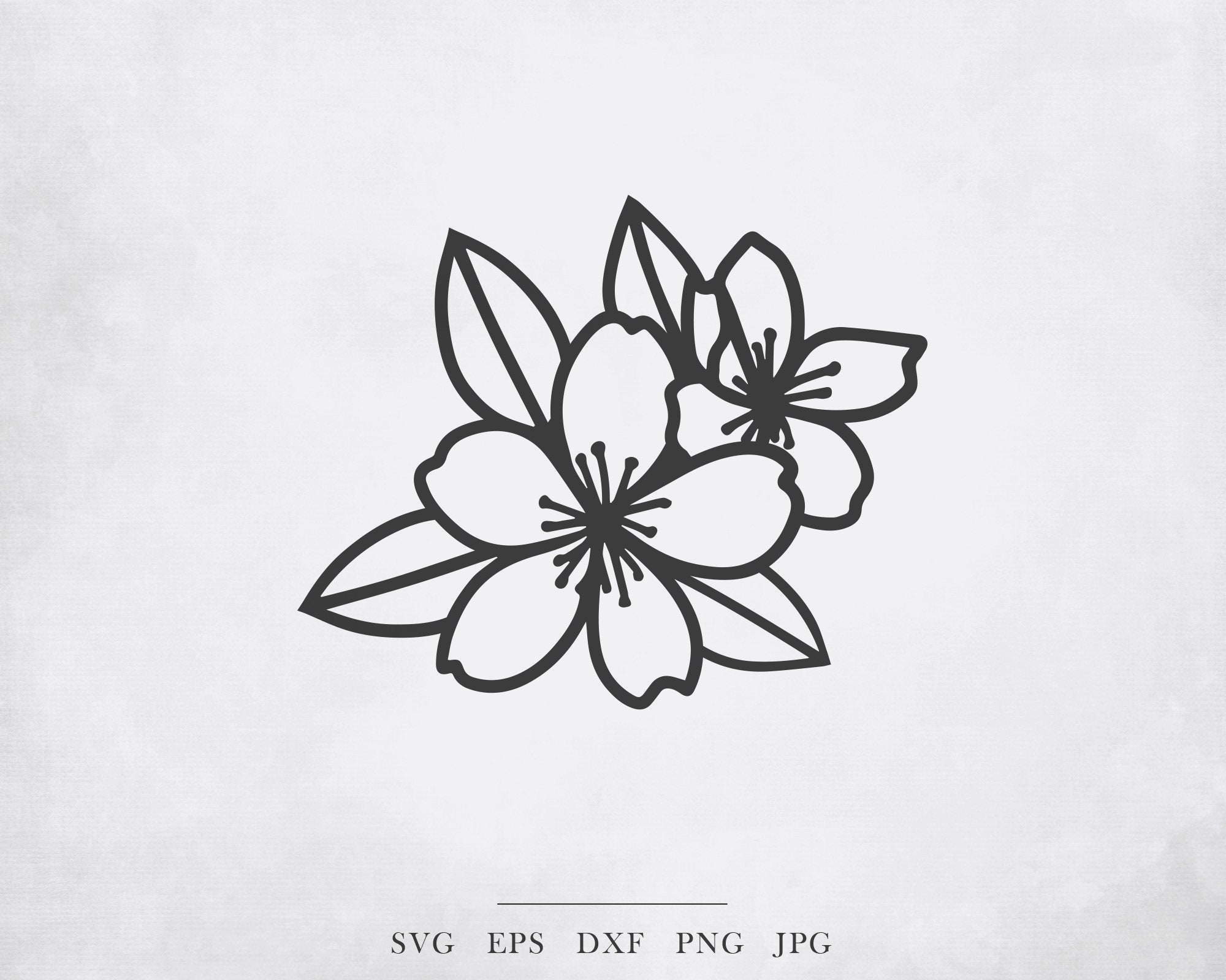 Sakura SVG Bundle Cherry Blossom Svg Floral Design Svg | Etsy India