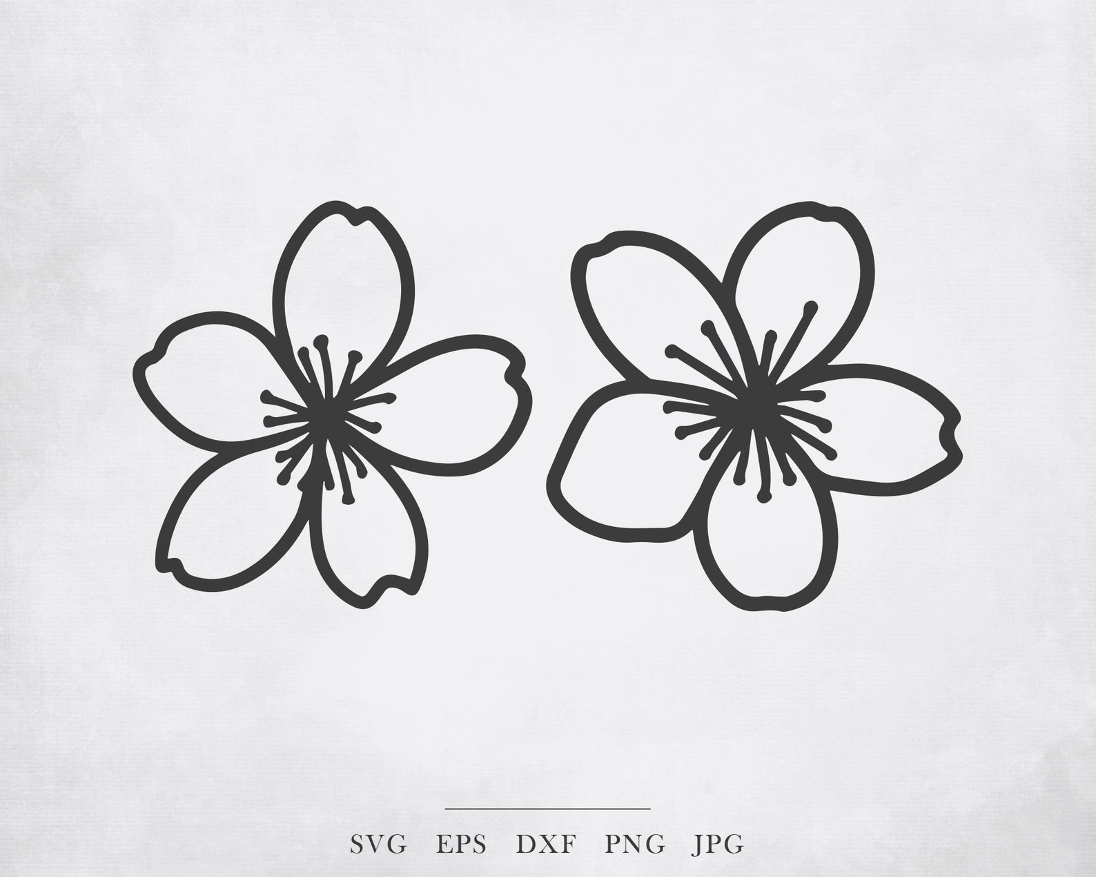 Sakura SVG Bundle Cherry Blossom Svg Floral Design Svg | Etsy