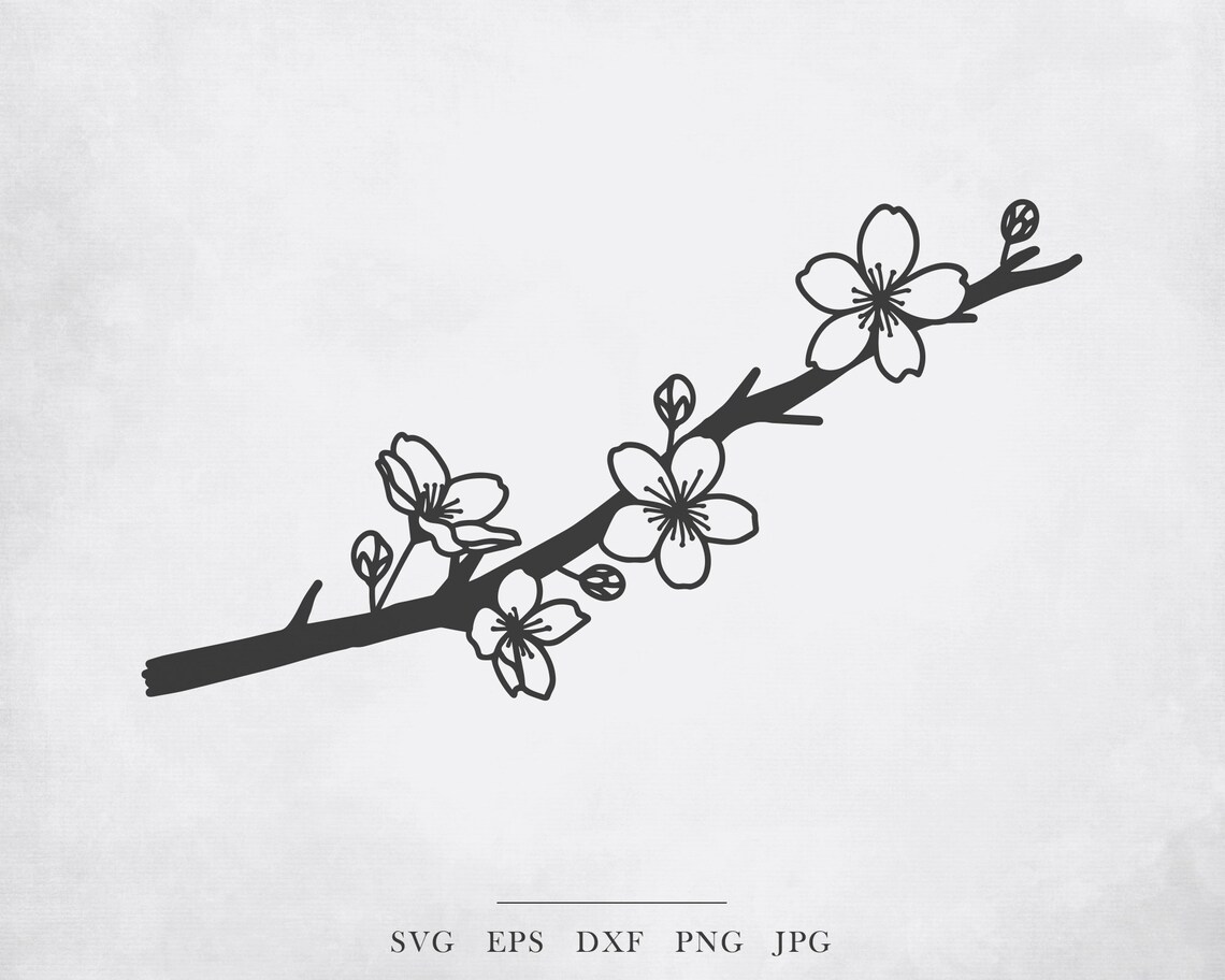 Sakura SVG Bundle Cherry Blossom Svg Floral Design Svg | Etsy