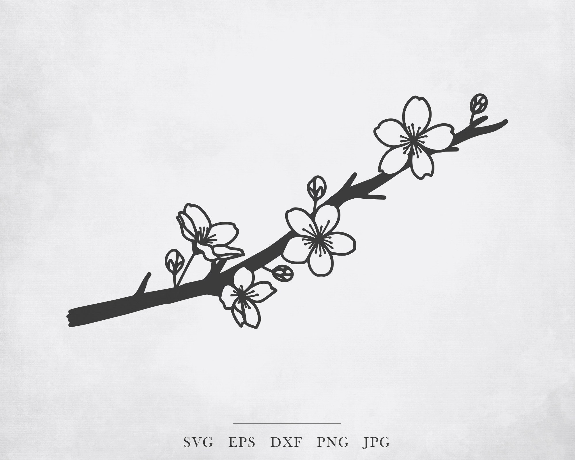 Sakura SVG Bundle Cherry Blossom Svg Floral Design Svg | Etsy