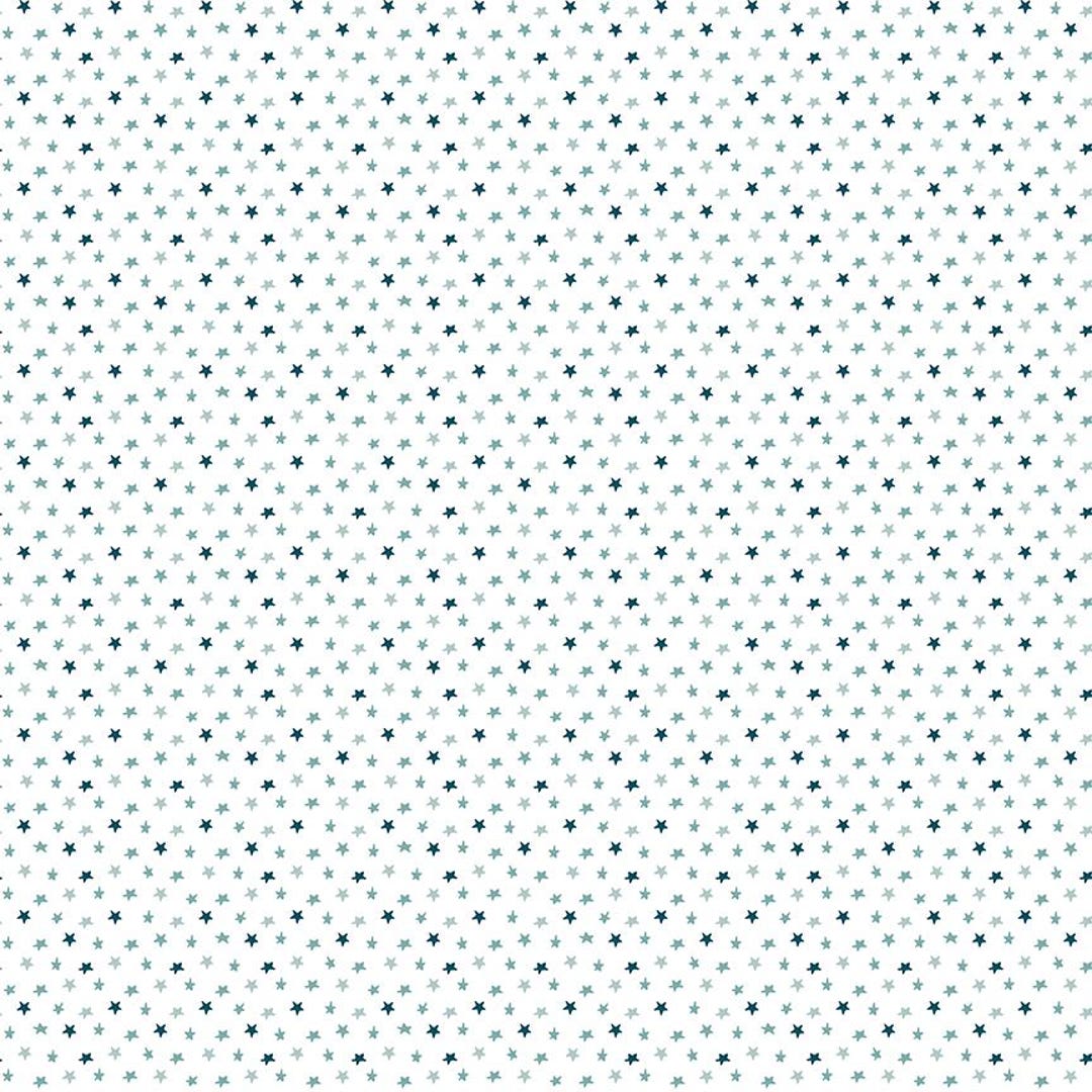 Baby Boy Stars White by Lori Whitlock for Riley Blake Designs - C16766 ...