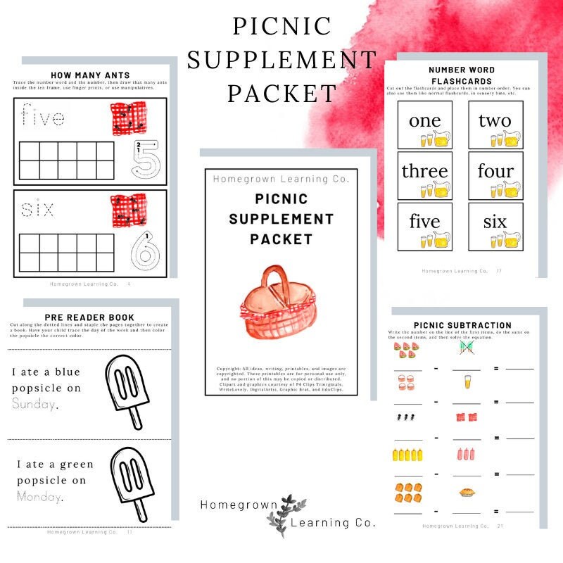 Picnic Theme - Etsy
