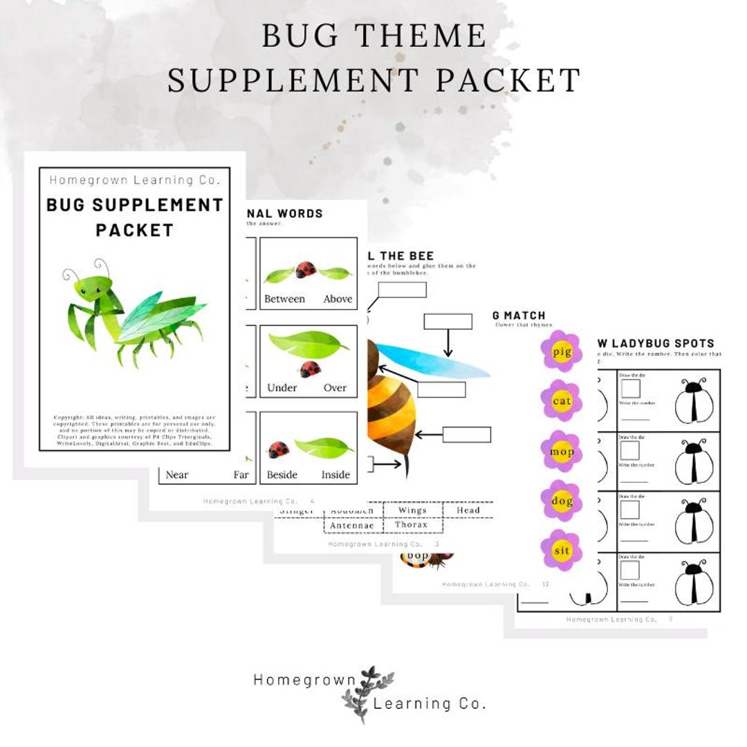 Bugs Supplement Packet (pre-k/kindergarten) - Etsy