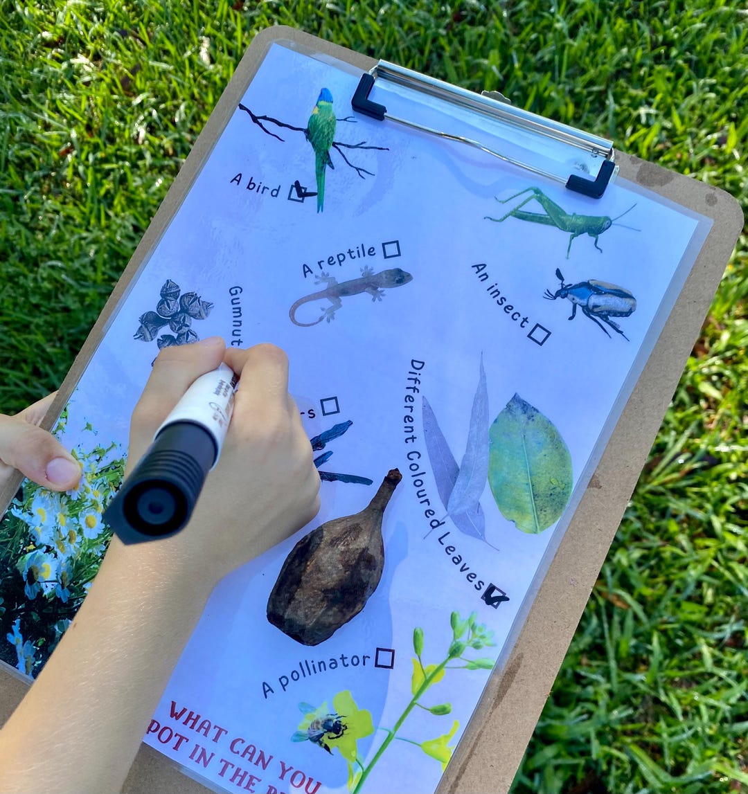 Australian Flora and Fauna Scavenger Hunt - Printable - Instant ...