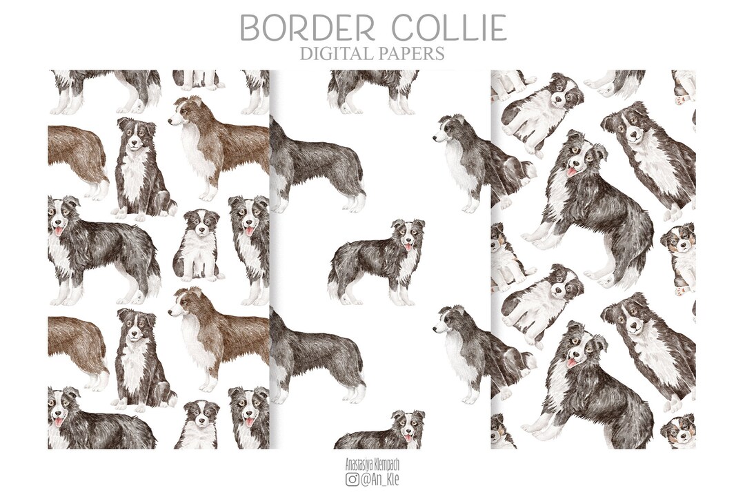Border Collie Seamless Patterns Digital Download, Border Collie Digital ...