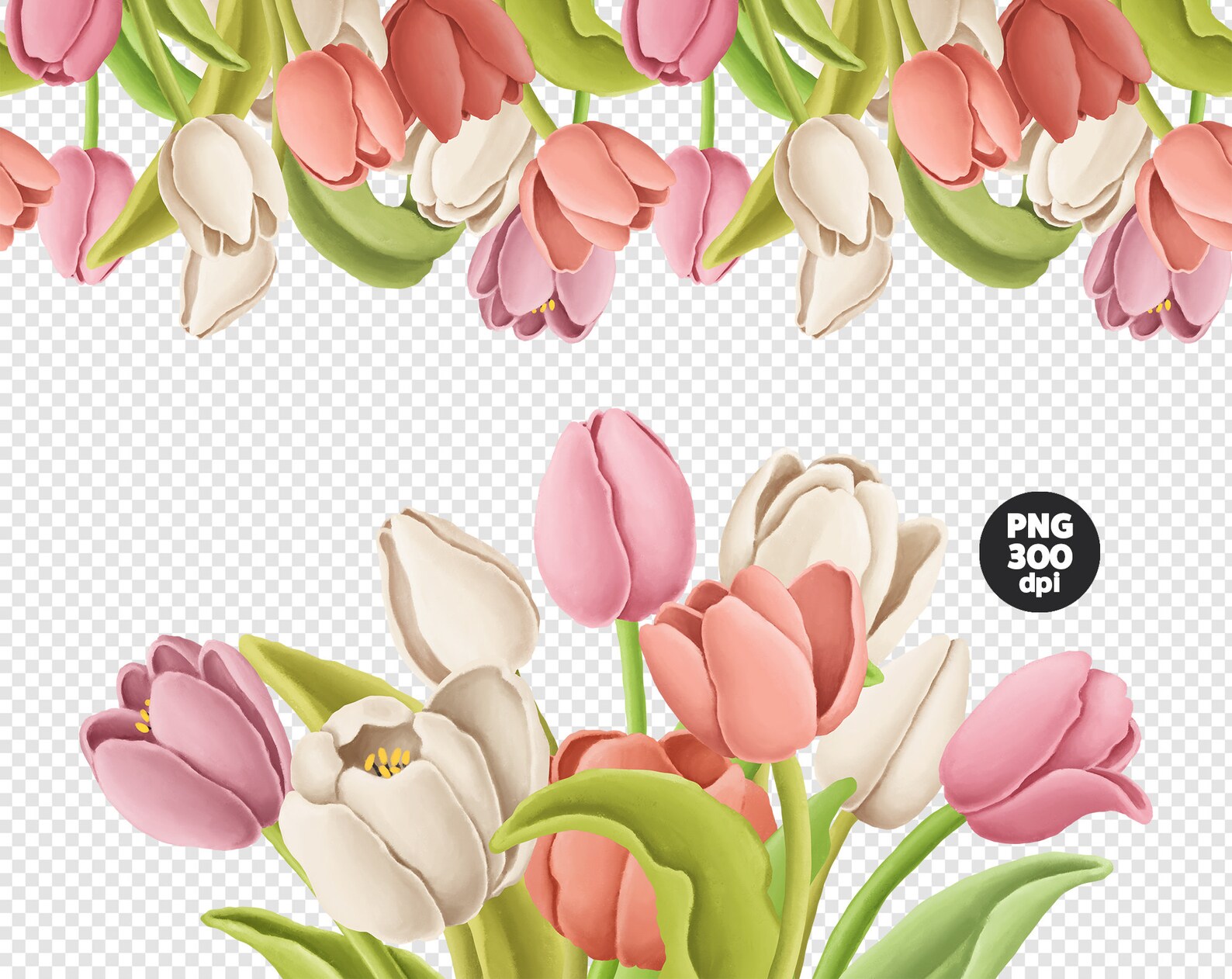 Tulip Frames and Borders Red Tulip Decoration Clipart Flower - Etsy