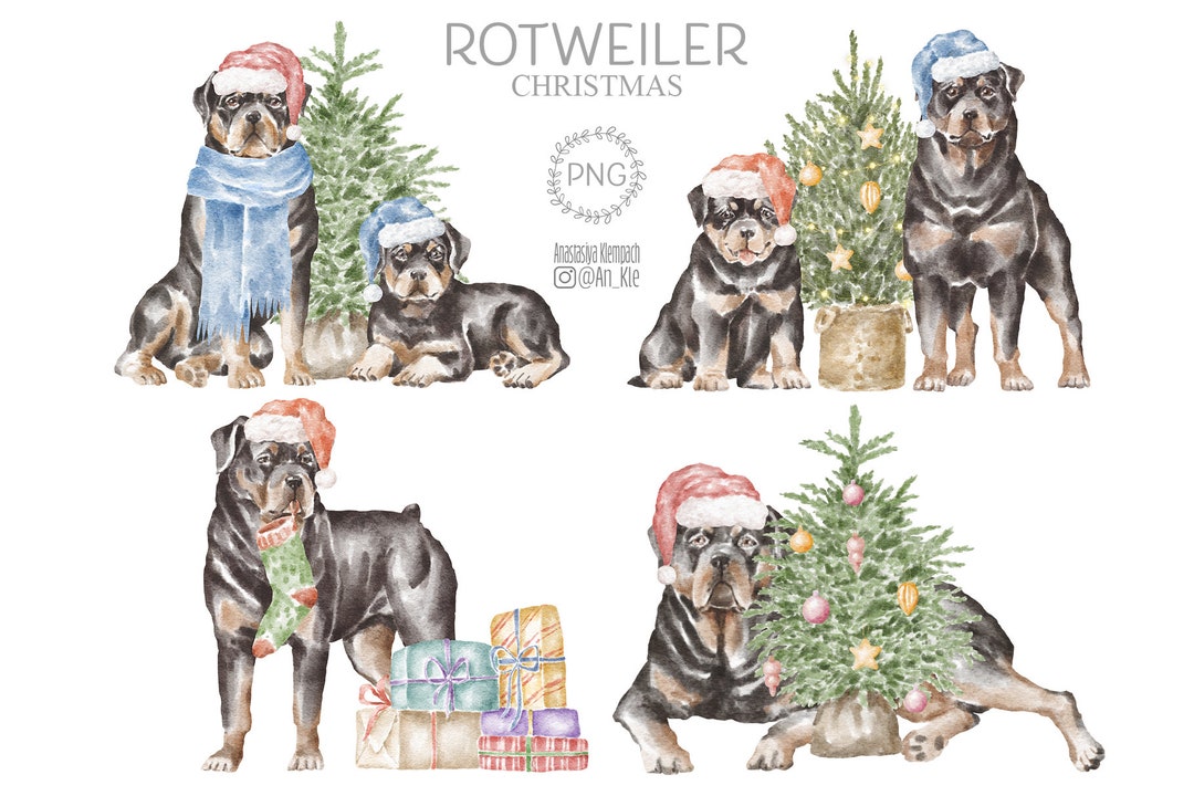 Rottweiler Christmas Dogs Clipart Png Digital Download, Watercolour ...
