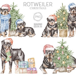 Rottweiler Christmas Dogs Clipart Png Digital Download, Watercolour ...