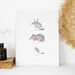 Australia Animals Clipart Png, Marsupial Mammals, Tasmania Wildlife ...