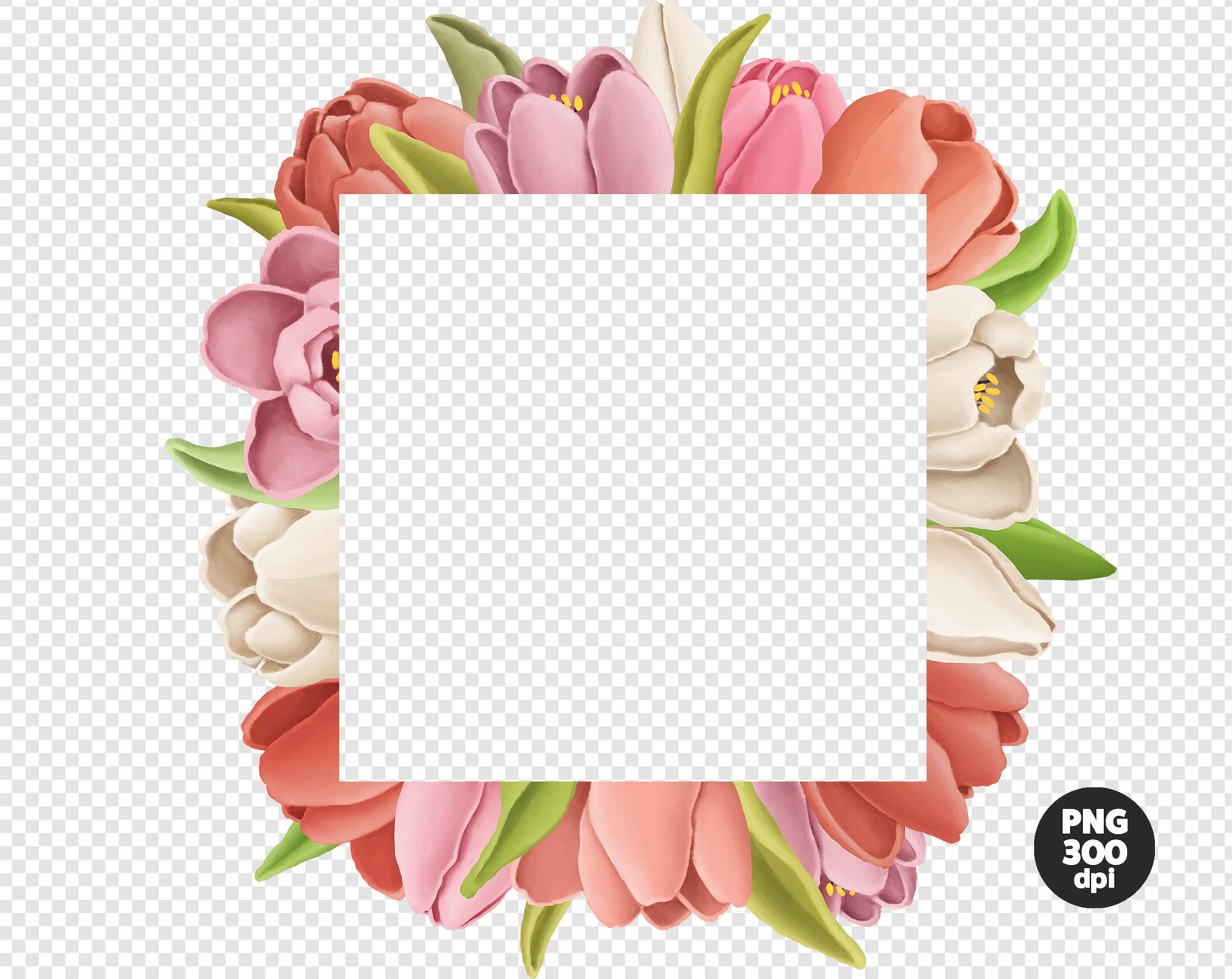 Tulip Frames and Borders Png Digital Graphics Red Tulip - Etsy