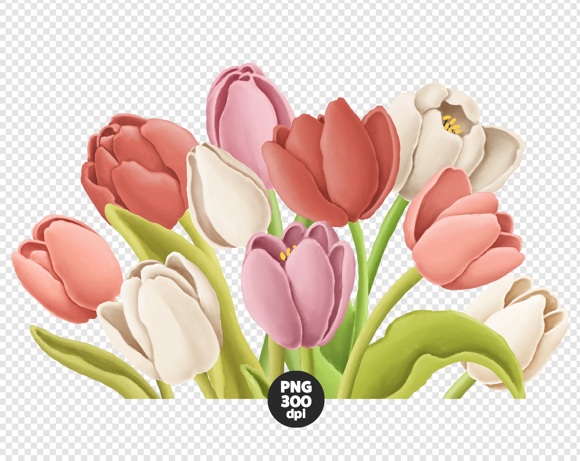 Tulip Frames and Borders Png Digital Graphics Red Tulip - Etsy