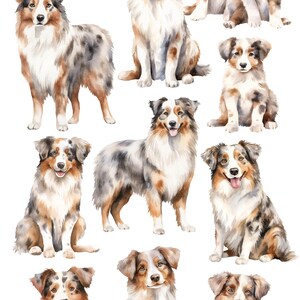 Aussie Dogs Clipart Set, Australian Shepherd Dogs Group, Sublimation ...