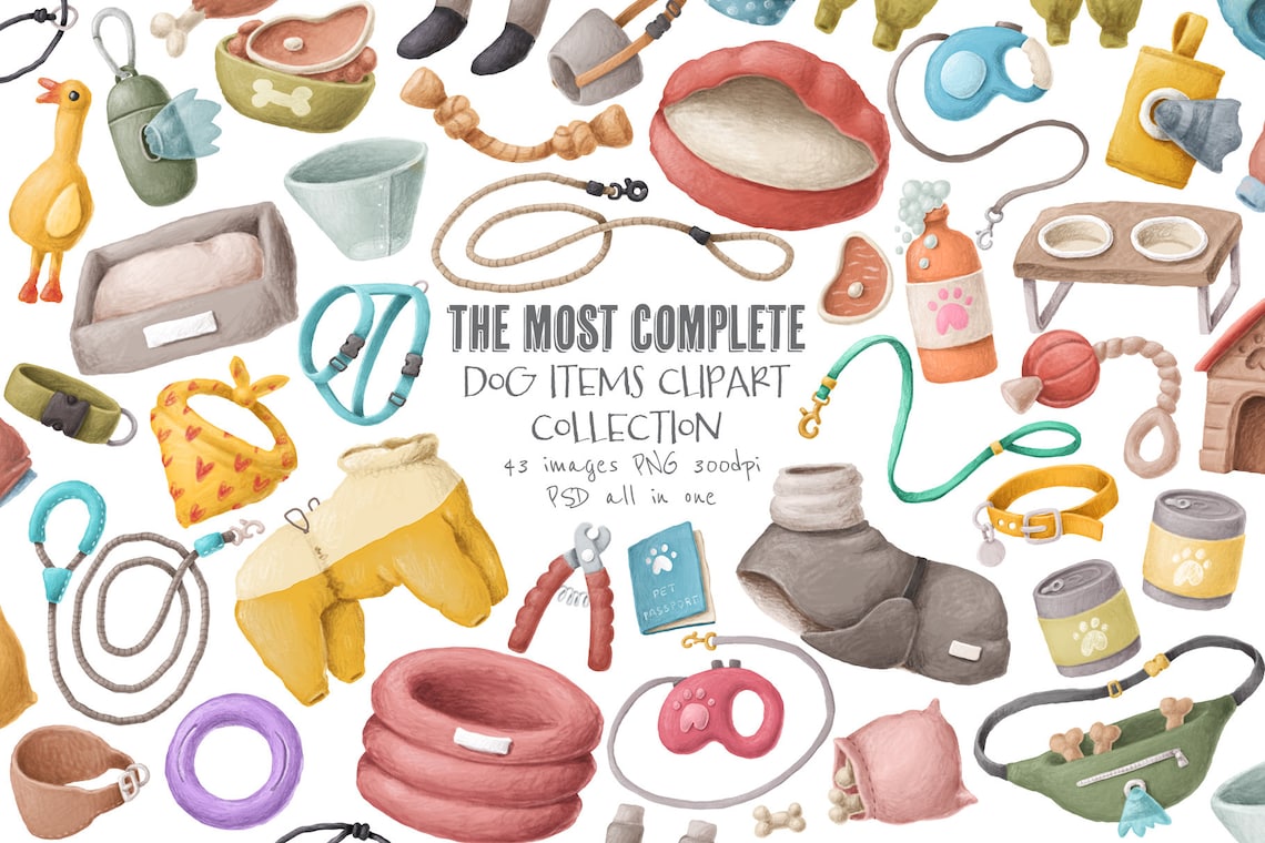 Dog Items Clipart Collection Instant Digital Download - Etsy