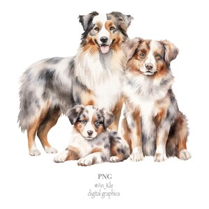 Aussie Dogs Clipart Set, Australian Shepherd Dogs Group, Sublimation ...