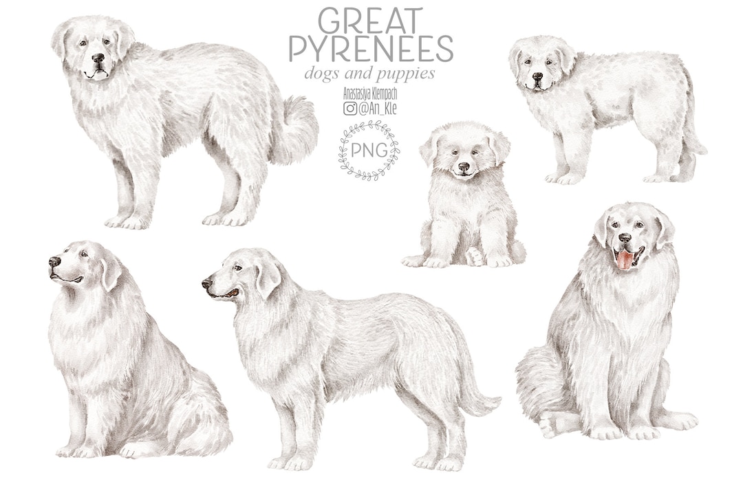 Great Pyrenees Clipart Png Digital Download, Pyrenean Mountain Dogs and ...