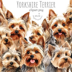 Yorkshire Terrier Clipart Set, Yorkie Dogs Group, Sublimation Design ...