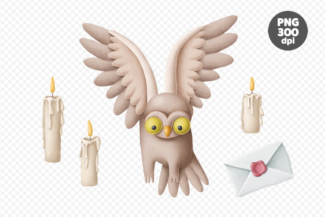 Owl clipart cute owls with books png digital download | Etsy