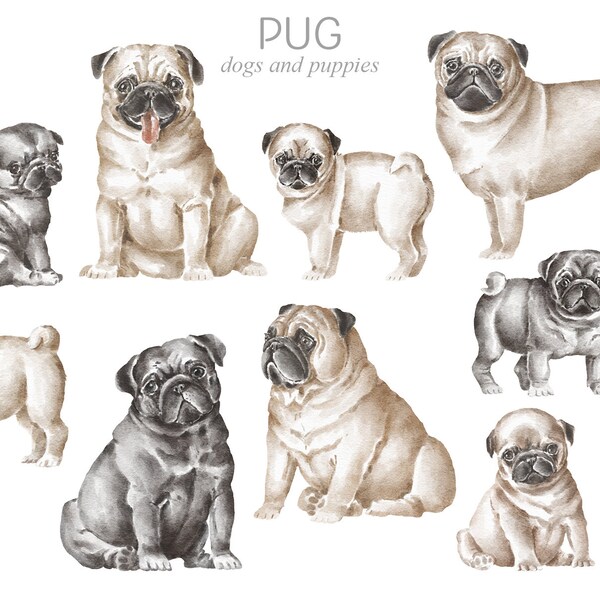 Pug Watercolor - Etsy