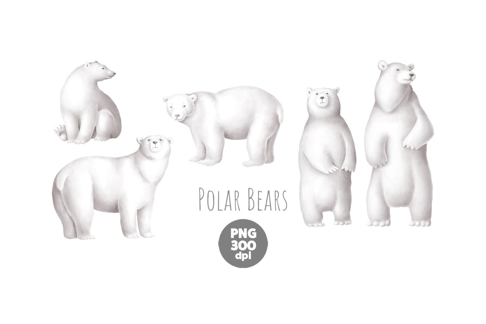 Polar Bears Clipart Set Hand Drawn Digital Downloadable | Etsy