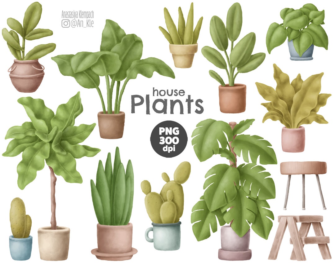 House Plants Clipart Set Digital Downloadable Illustrations - Etsy