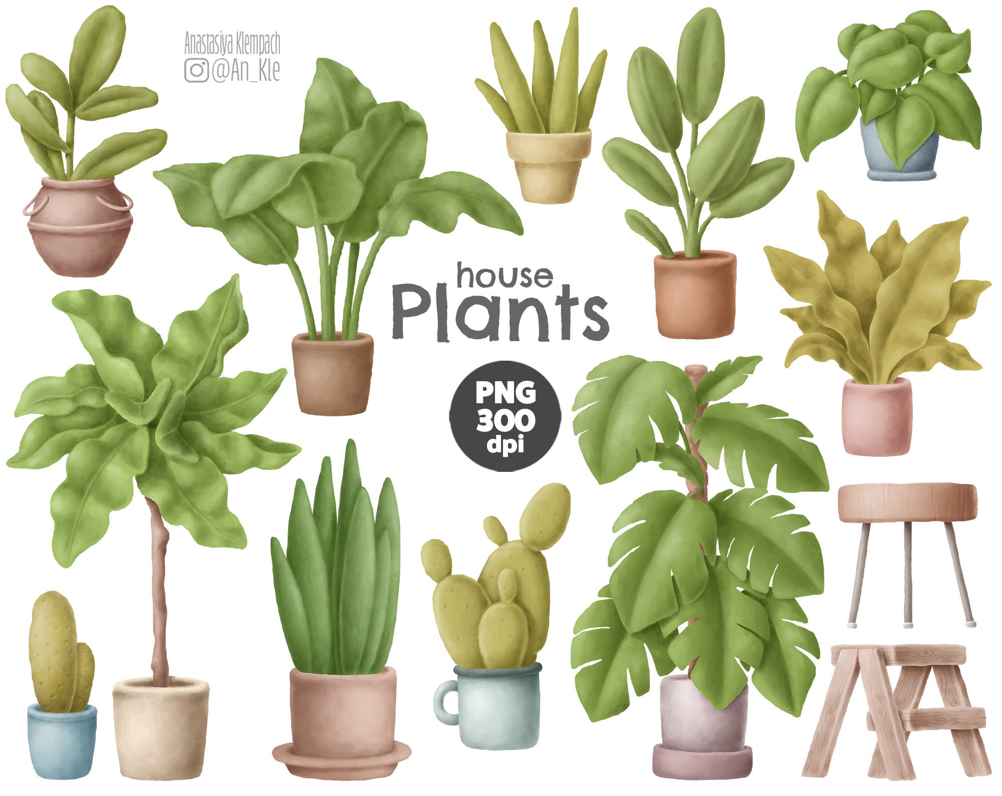 House Plants clipart set digital downloadable illustrations | Etsy