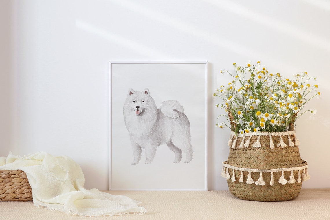 Samoyed Dogs and Puppies Hand Drawn Clipart Png Cute Samoyed - Etsy