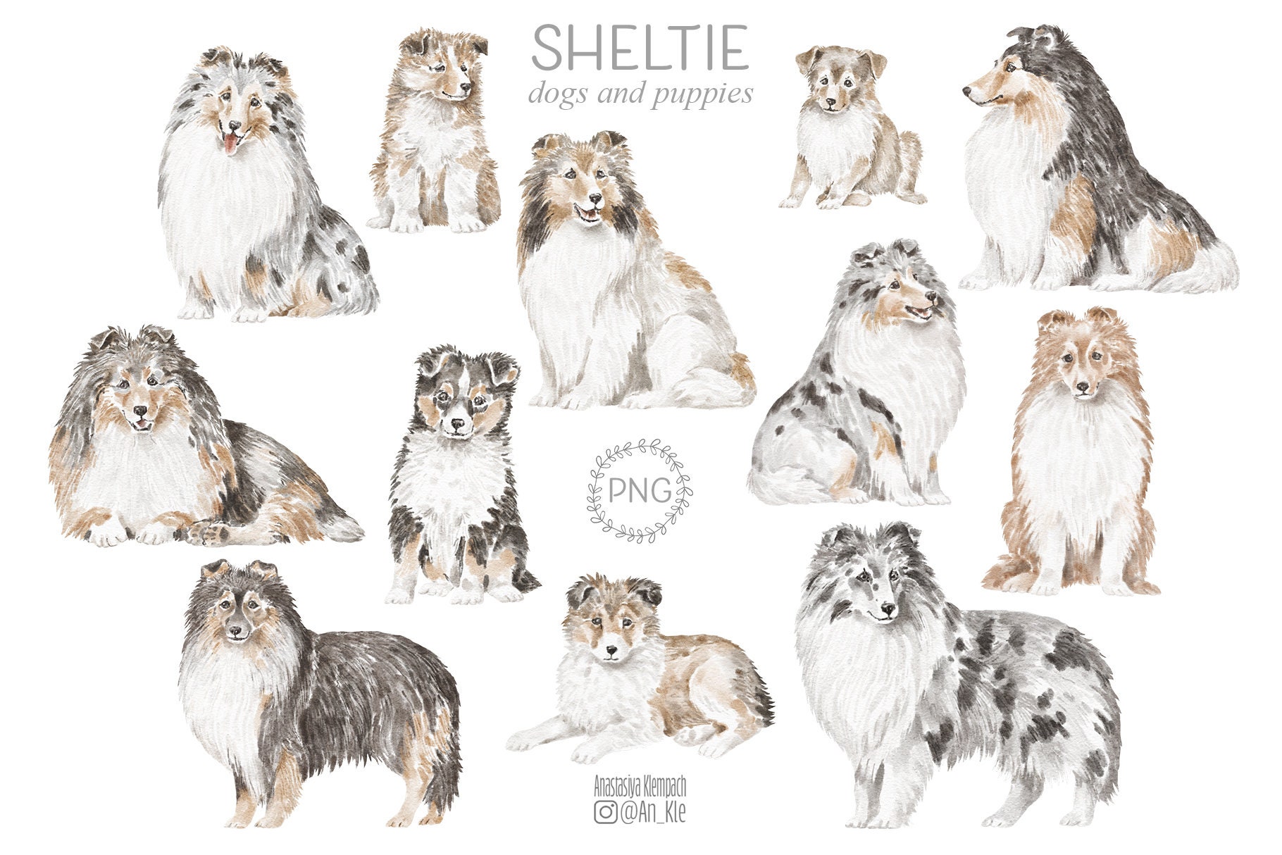 Bi Black Sheltie Clipart