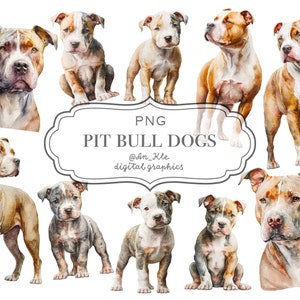 Pit Bull Dogs Clipart Png Digital Download, Pit Bull Illustrations ...
