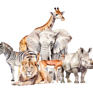Safari Animals Clipart Png Digital Download, Watercolour Africa Animals ...