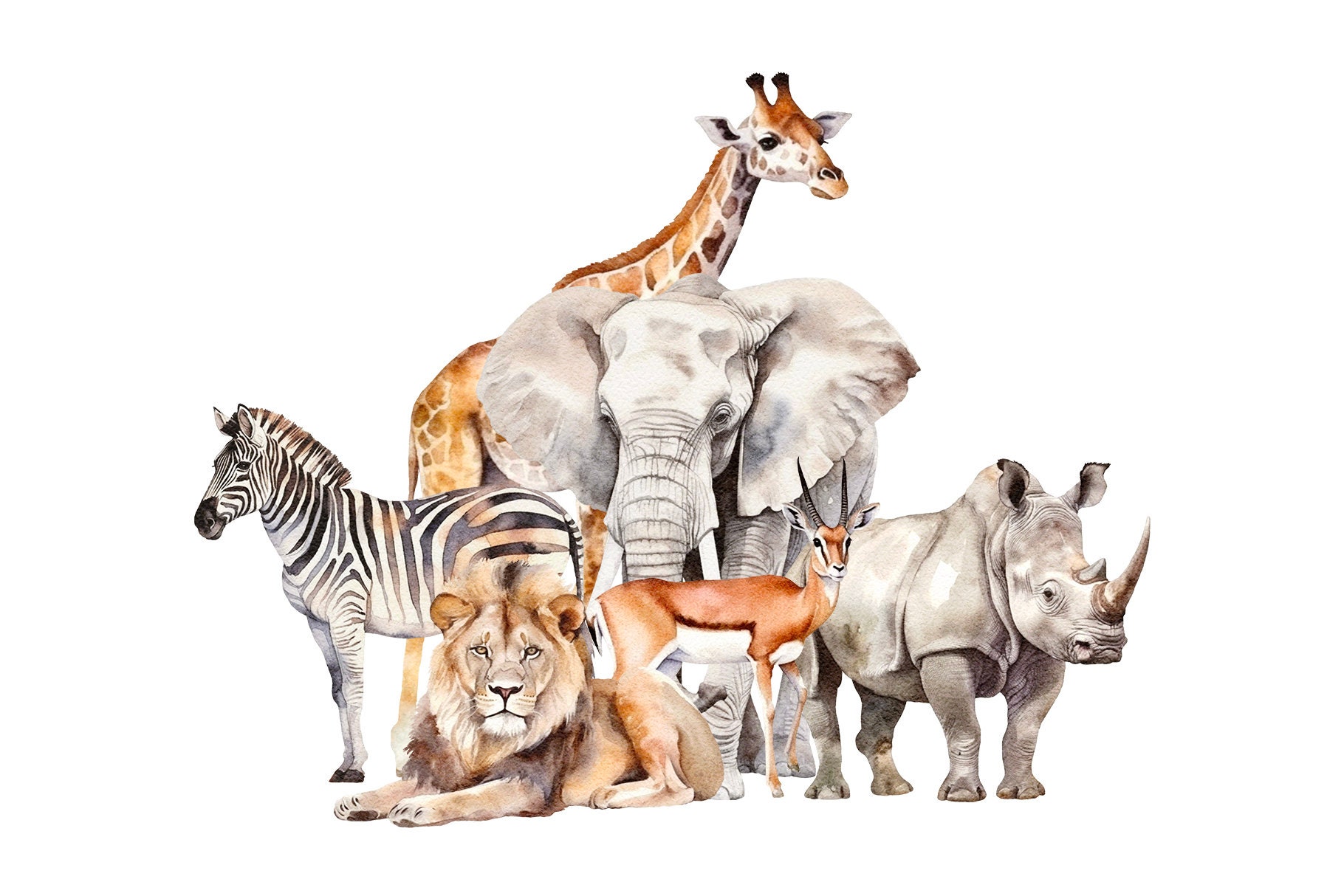 Safari Animals Clipart Png Digital Download Watercolour - Etsy