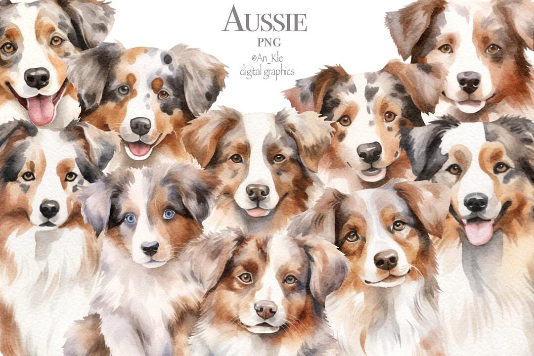 Aussie Dogs Clipart Set, Australian Shepherd Dogs Group, Sublimation ...