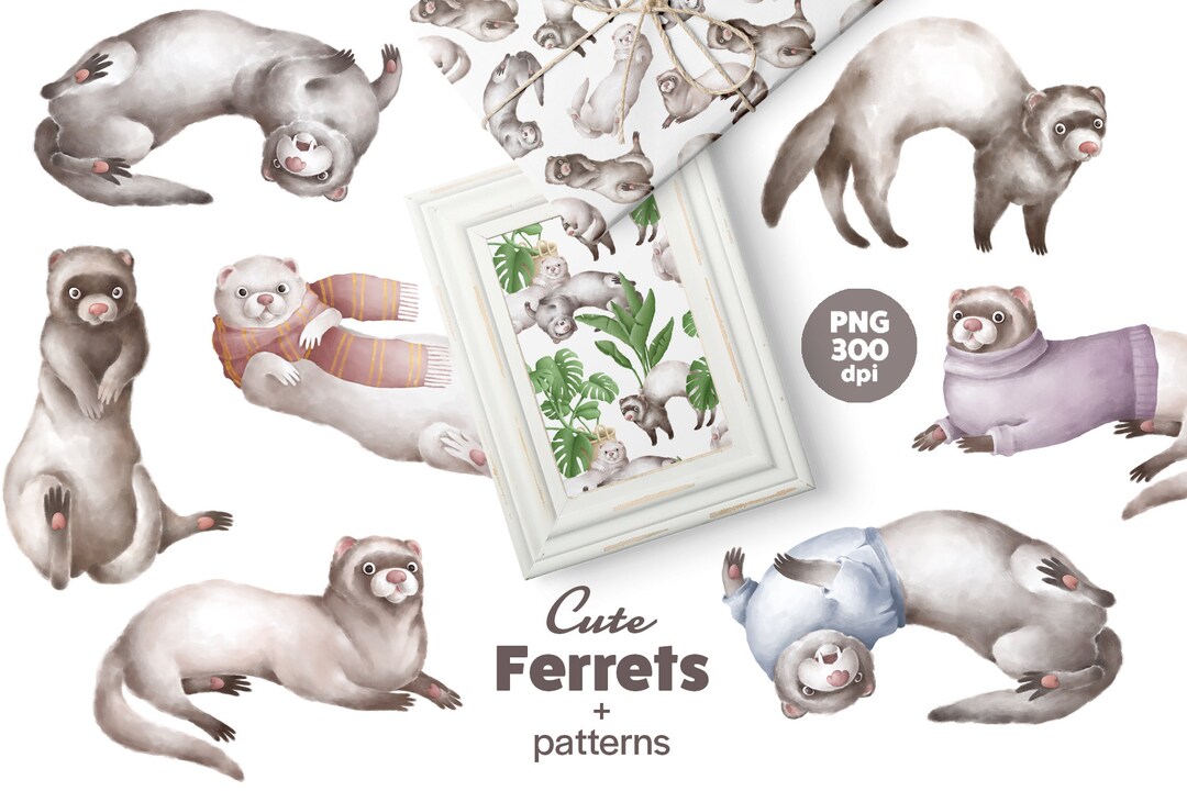 Cute Ferrets Clipart Png, Ferret Patterns, Pets Animals Graphics ...