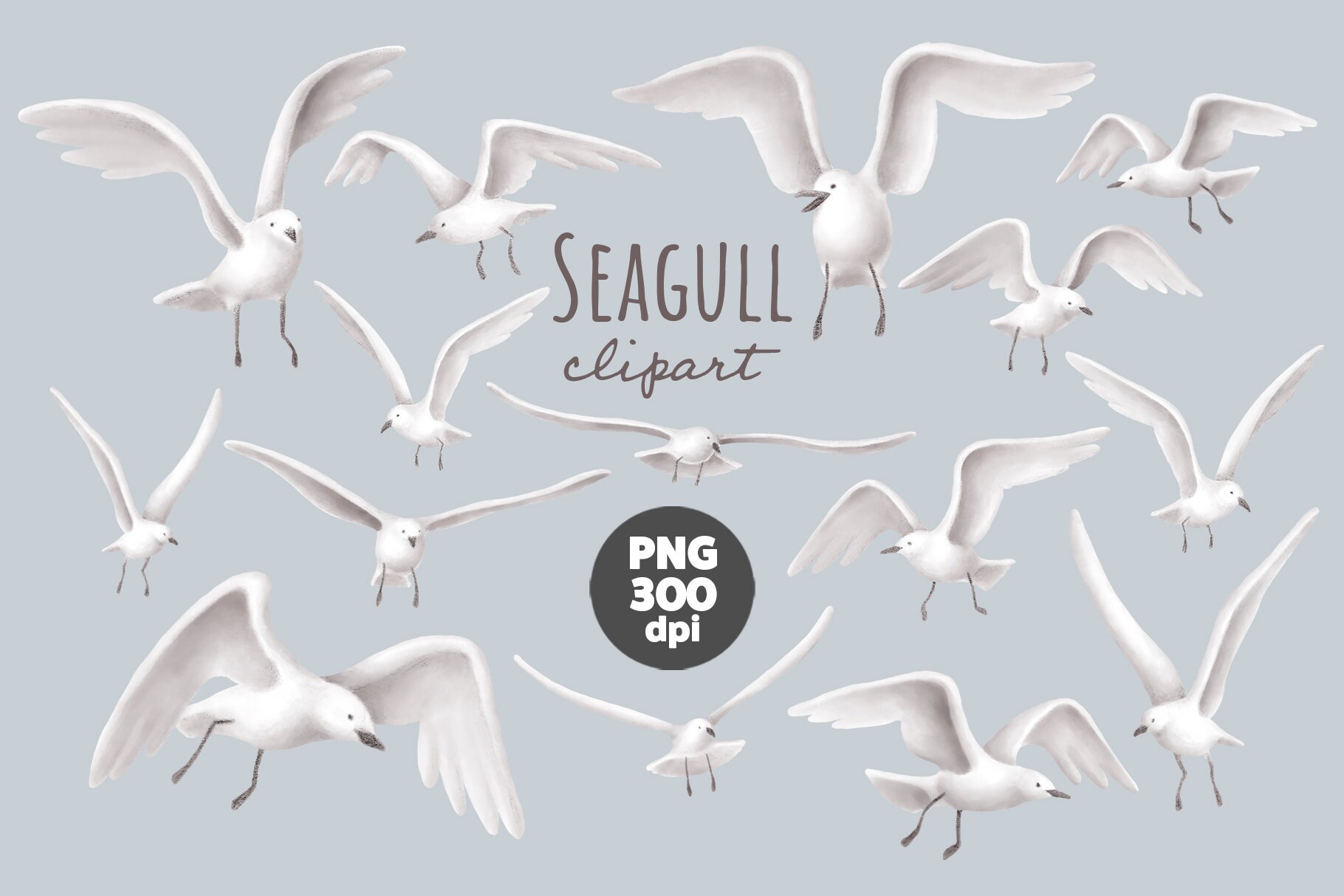 Flying Seagull Png