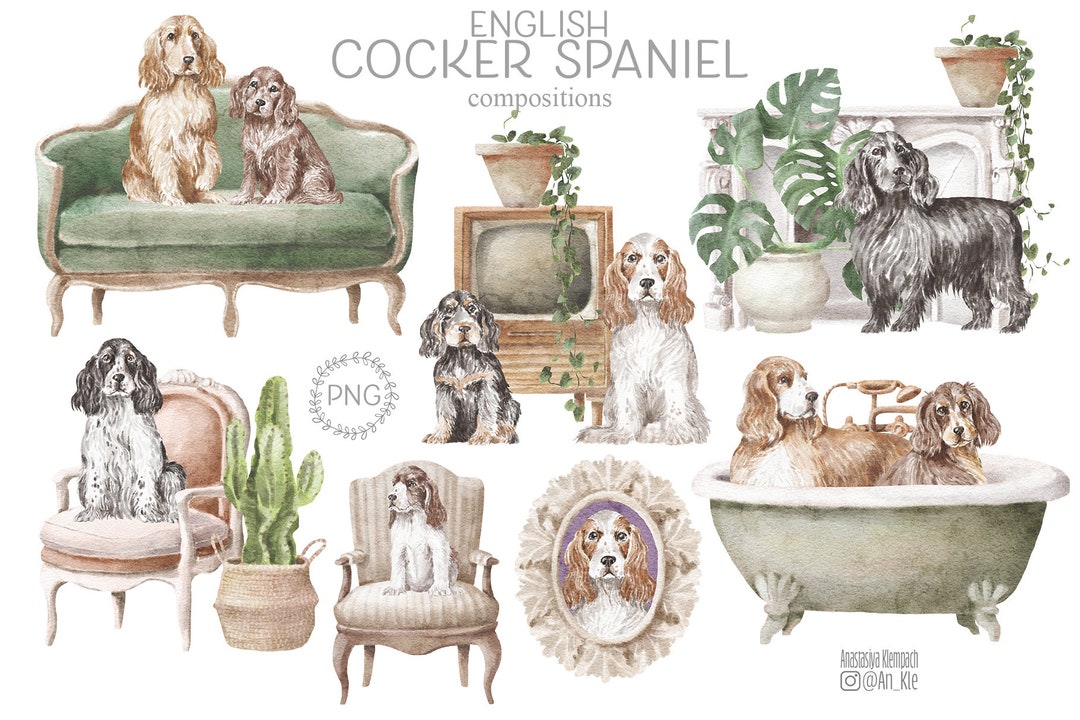 Cocker Spaniel Clipart Charming Hand-drawn Dog Illustrations for Decor ...