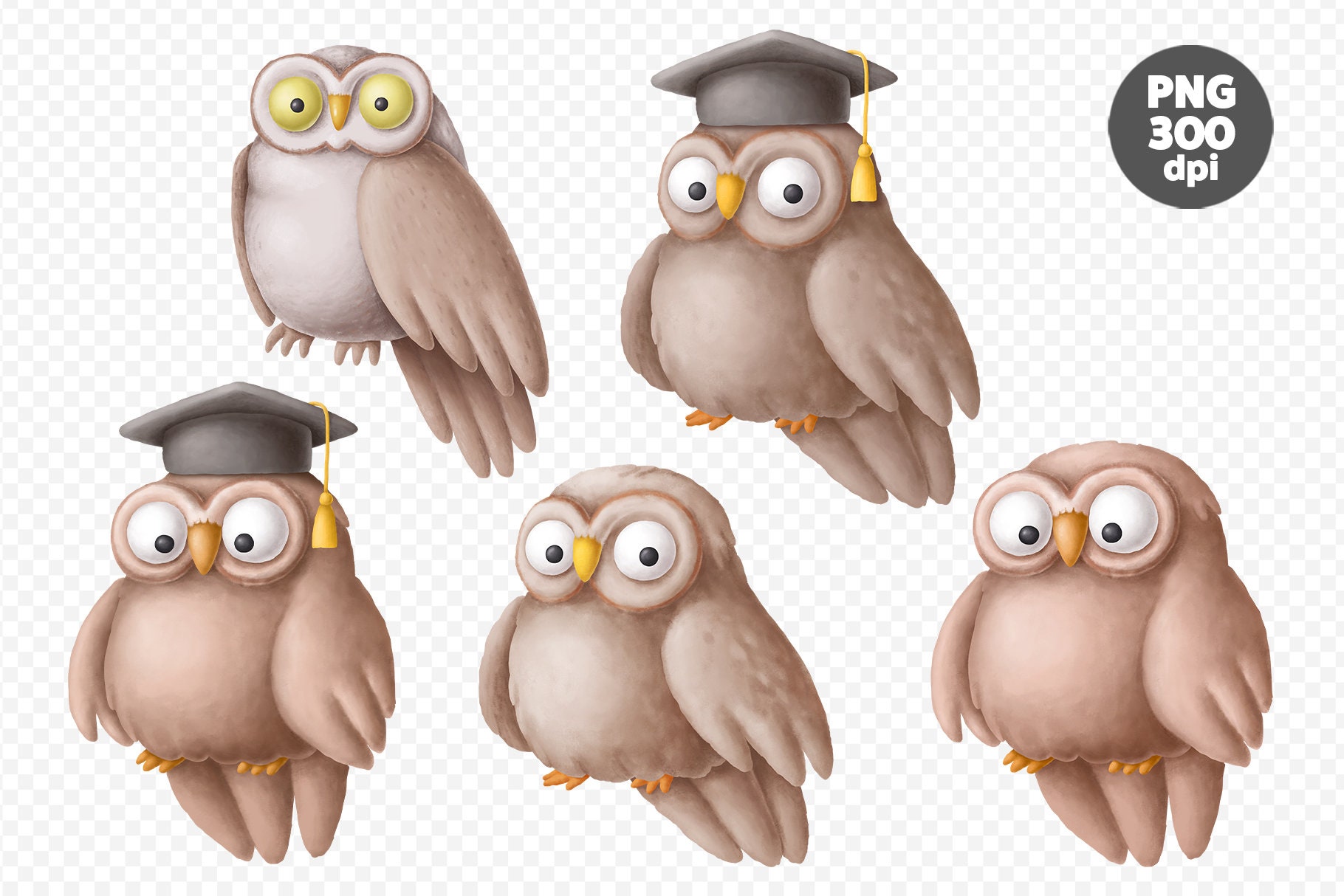 Owl clipart cute owls with books png digital download | Etsy