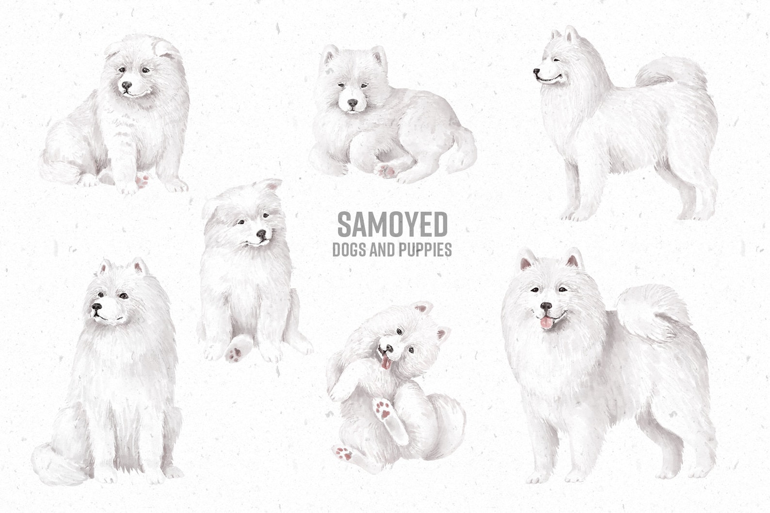 Samoyed Dogs and Puppies Hand Drawn Clipart Png Cute Samoyed | Etsy