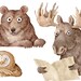 Whimsical Animals Clipart Png Digital Download Safari - Etsy