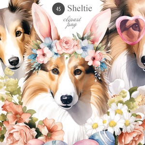 Sheltie Dogs Sublimation Designs Set, Shetland Sheepdog Valentine ...