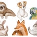 Whimsical Animals Clipart Png Digital Download Safari - Etsy
