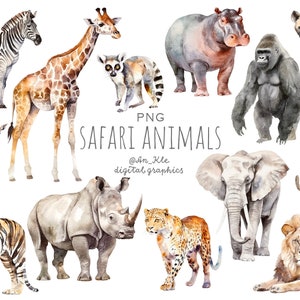Safari Animals Clipart Png Digital Download, Watercolour Africa Animals ...