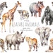Safari Animals Clipart Png Digital Download, Watercolour Africa Animals ...