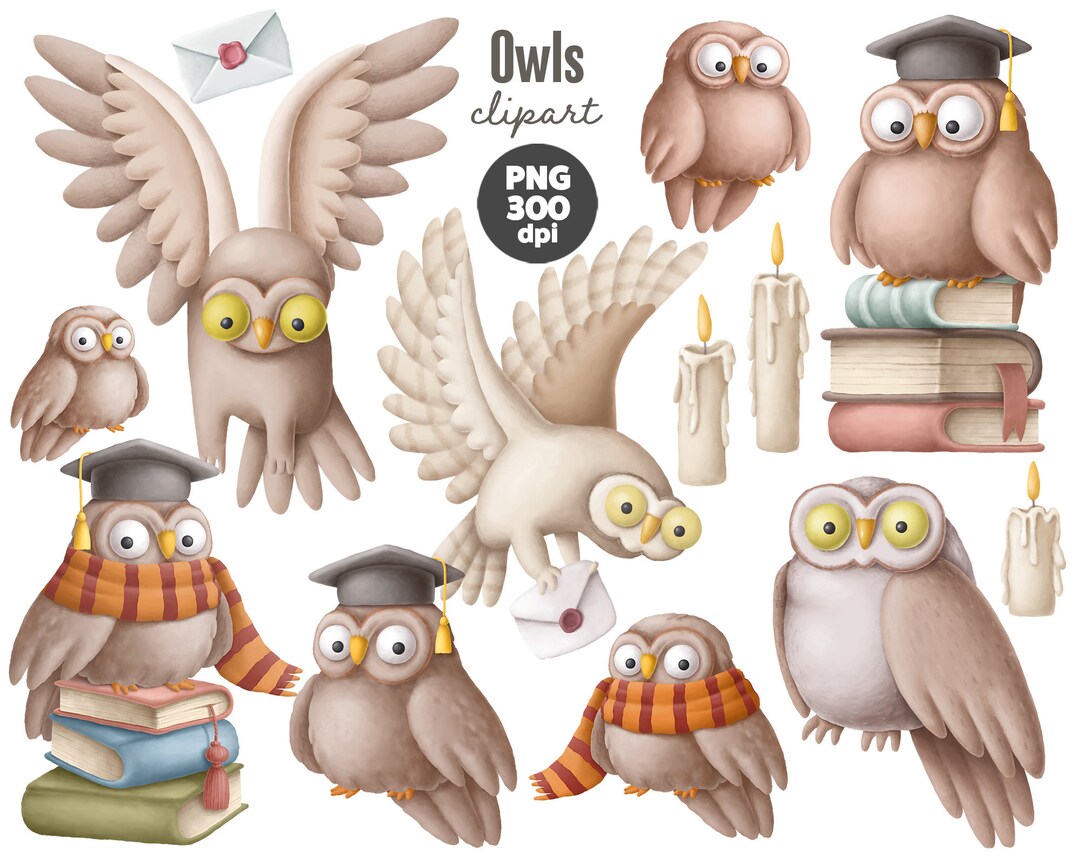 Owl Clipart, Cute Owls With Books Png, Digital Download, Commercial and ...