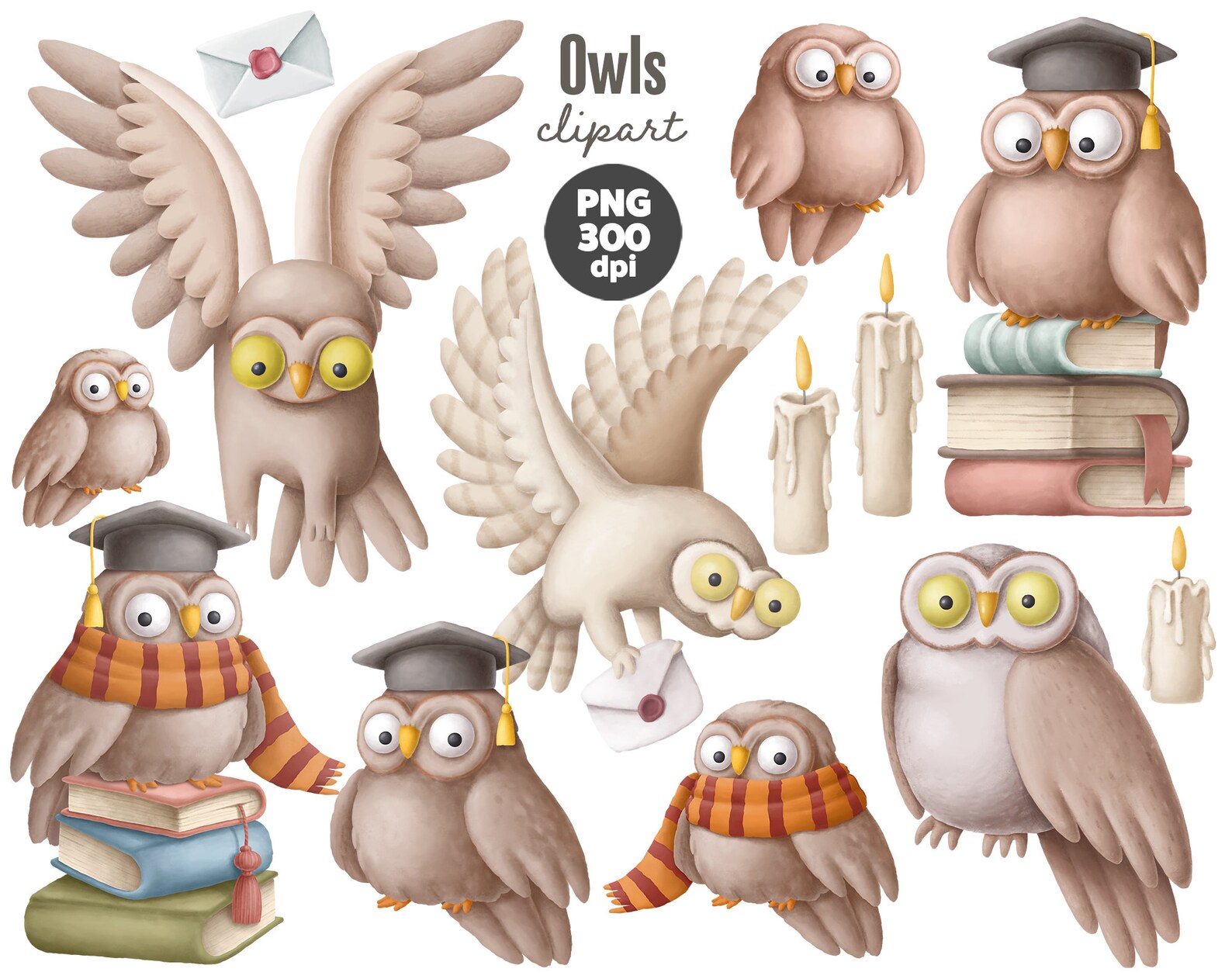 Owl clipart cute owls with books png digital download | Etsy