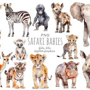 Safari Animals Clipart Png Digital Download Watercolour - Etsy Canada