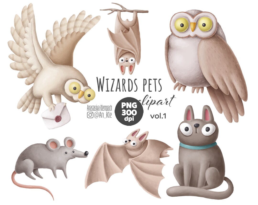 Wizard Animals Png, Witch Pets Clipart, Owl Magical, Halloween Animals ...
