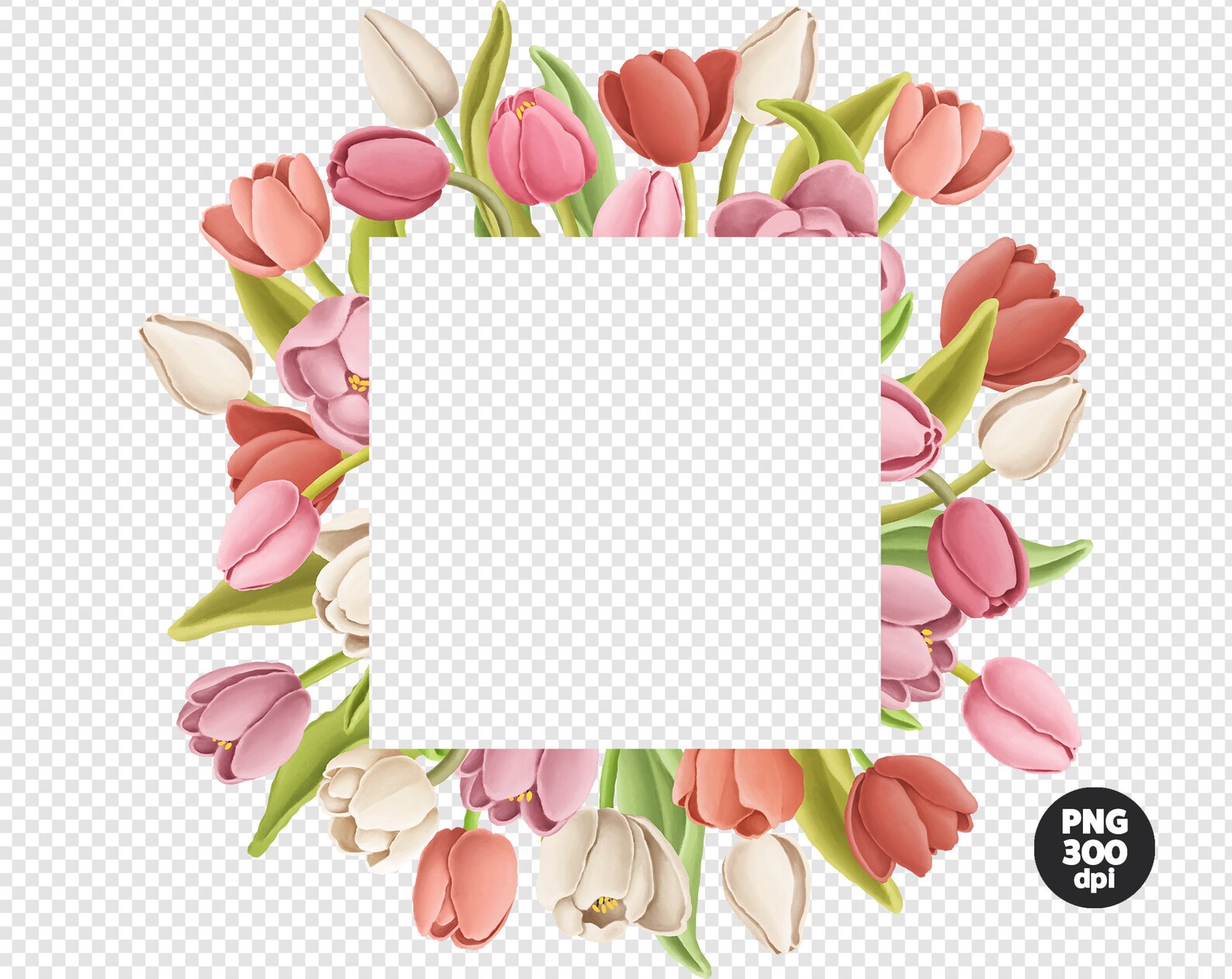 Tulip Frames and Borders Red Tulip Decoration Clipart Flower - Etsy