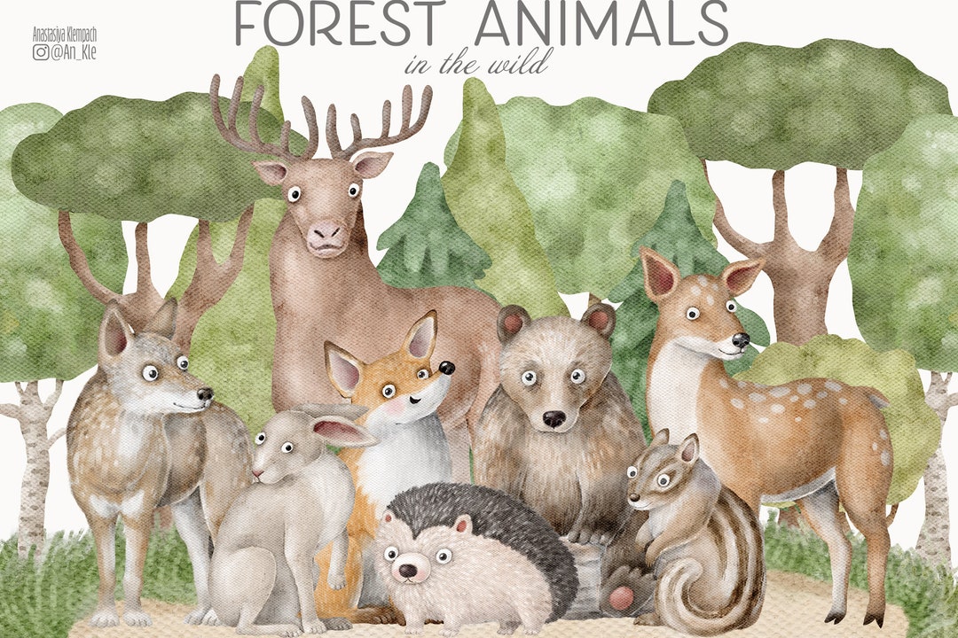 Whimsical Forest Animals Clipart Png Download, Whimsical Woodland ...