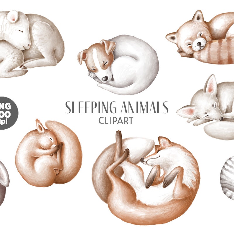 Sleeping Animals Clipart - Etsy